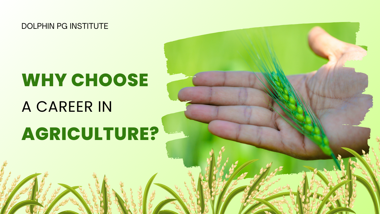 Best Career Options After B.Sc. Agriculture in 2025 – Scope & Jobs/ 2026